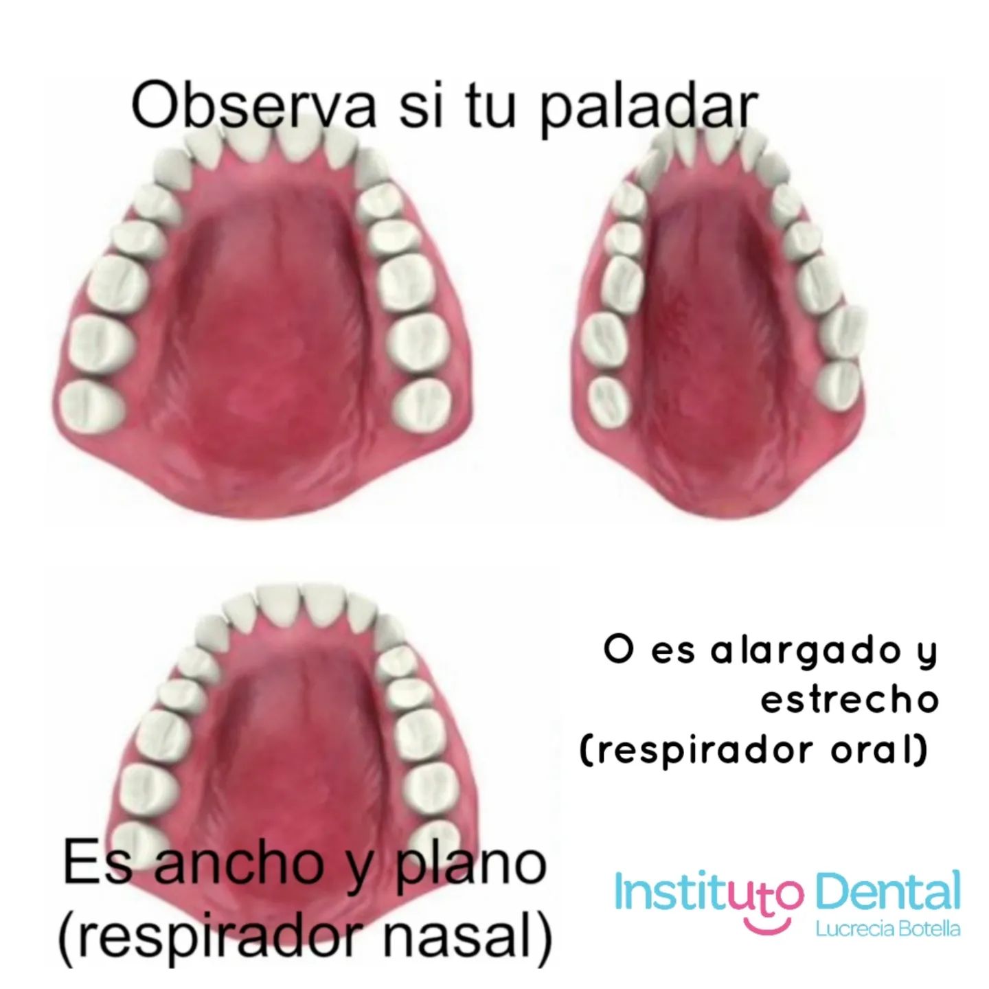 Oclusión, respiración y funcionalidad dental - Instituto Dental ...